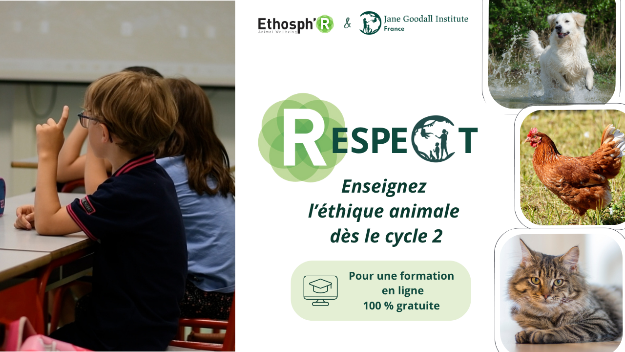 Enseigner le respect des animaux dès le CP