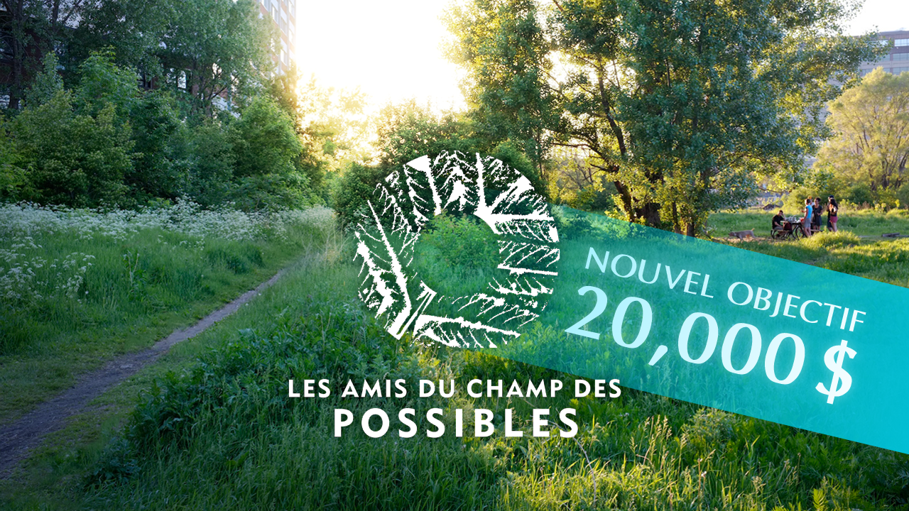 Les Amis du Champ des possibles - Ulule