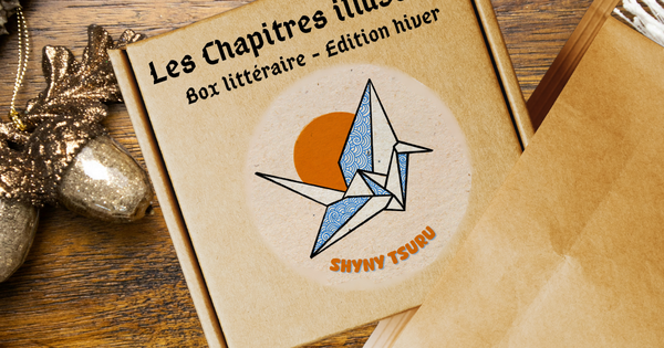 Les Chapitres Illustrés – La box qui mêle livre et art