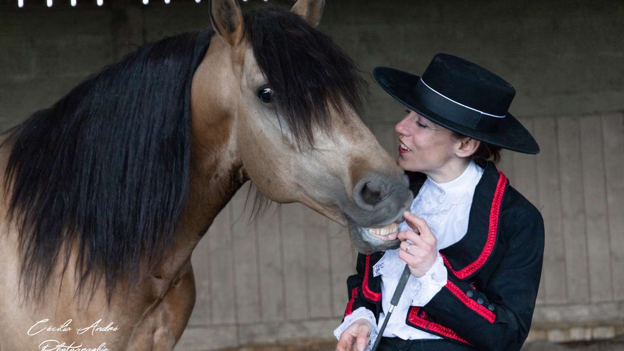 Le Domaine des Ecuyers, spectacles équestres