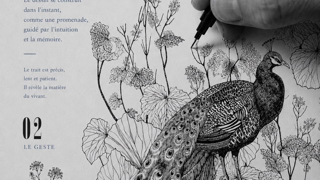 FA/P Dessiner le vivant - Naissance d’une collection
