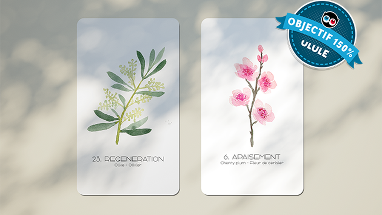 L'oracle des Fleurs de Bach