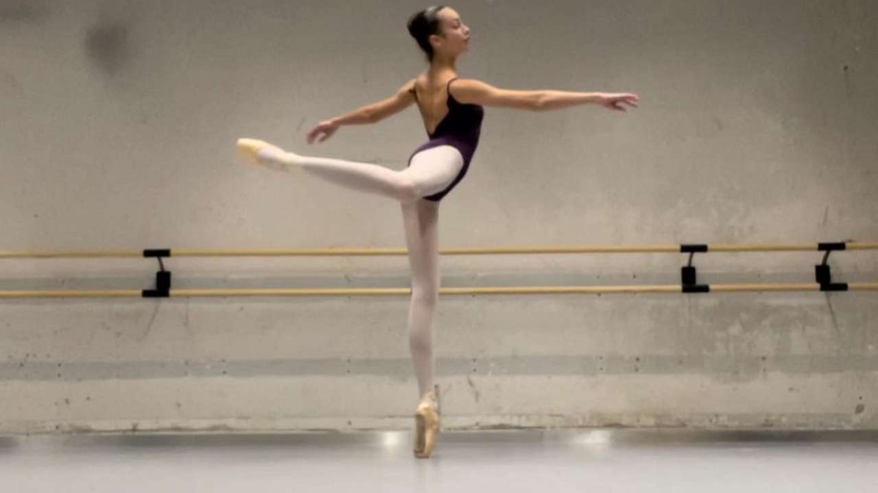 Ma formation de danseuse professionnelle Mosa Ballet School - Ulule