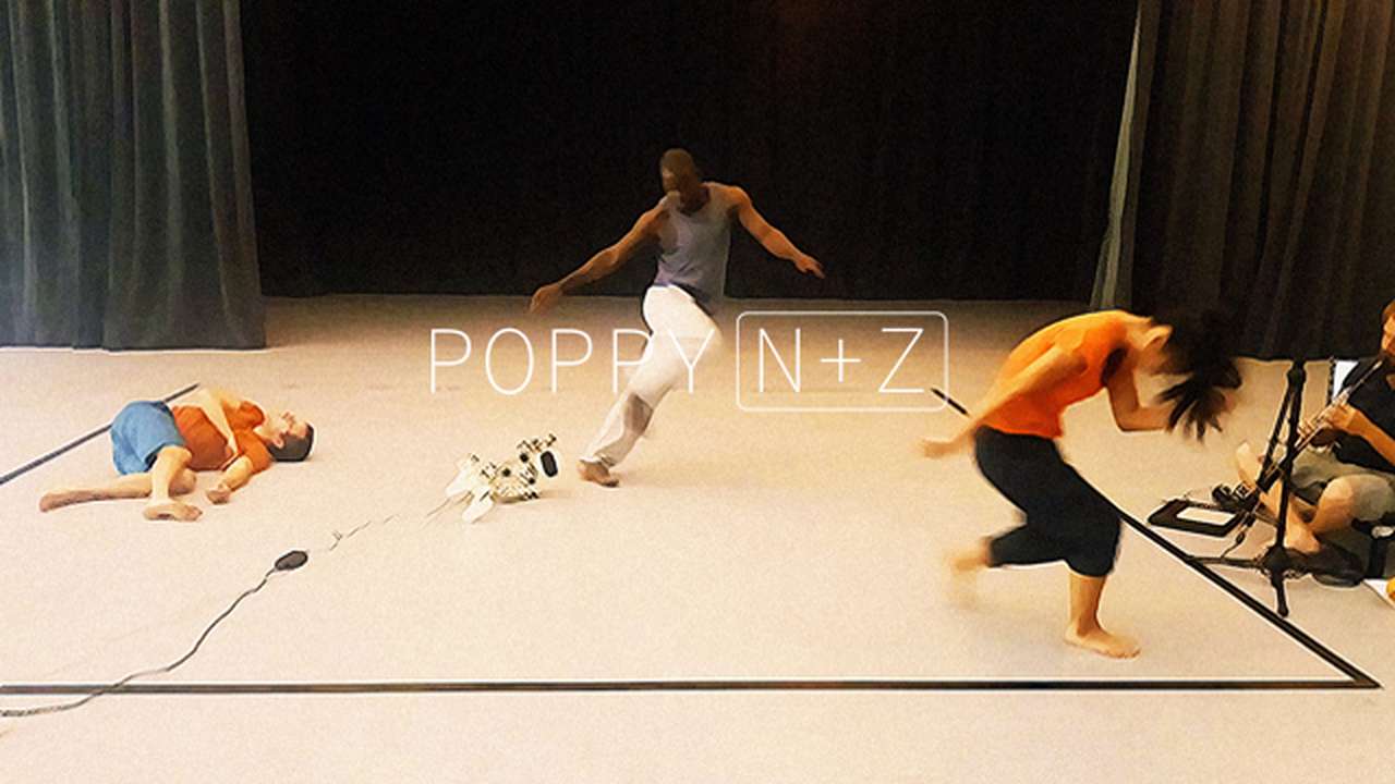 POPPY N+Z - Ulule