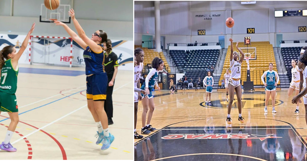 Projet scolaire américain