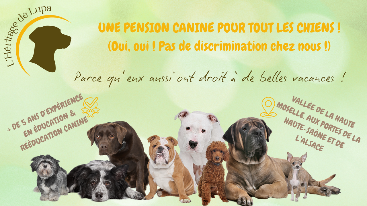 POUR UNE PENSION CANINE D'EXCEPTION