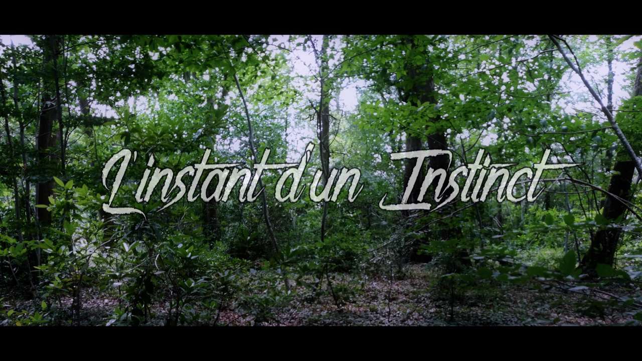 L'instant d'un instinct