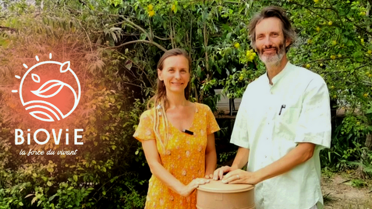 Germoir autonome, les graines germées simplement