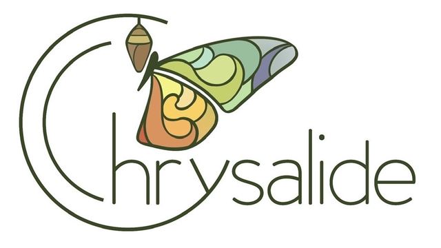 « Chrysalide tattoo et piercing » - Ulule