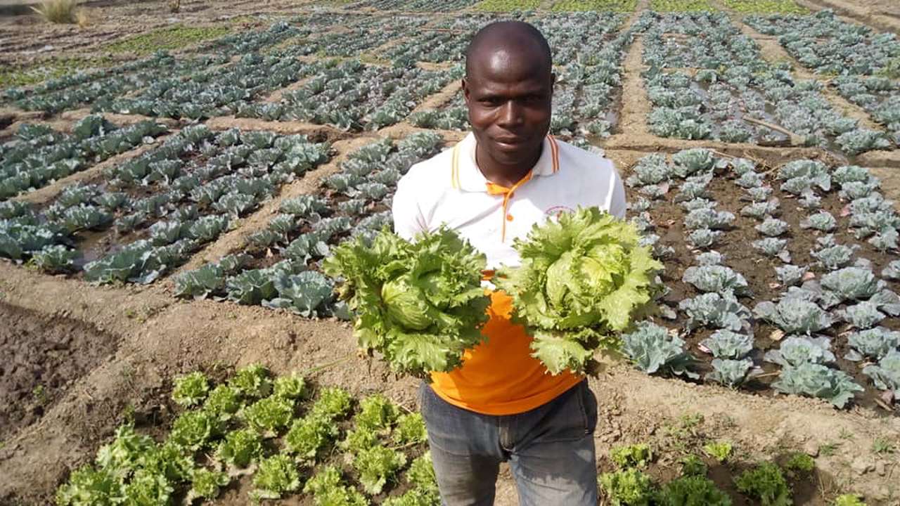 50 RUCHES POUR PASCAL - Ulule