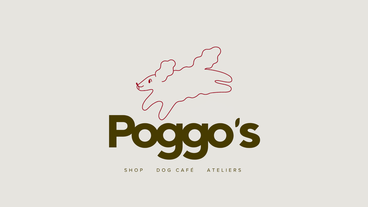 POGGO'S - Le 1er concept store canin de Saint-Jean-de-Luz