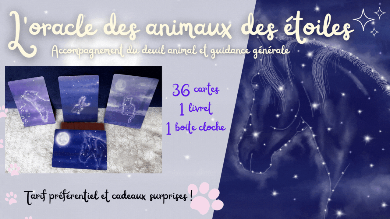 L'oracle des animaux des étoiles - Ulule