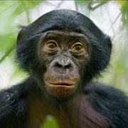 jean-yves katz - Ulule