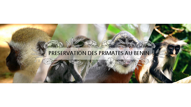 Préservation des Primates au Bénin