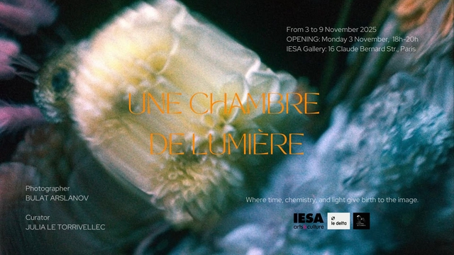 Une Chambre de Lumière - L’Art de la Photographie Argentique - Ulule