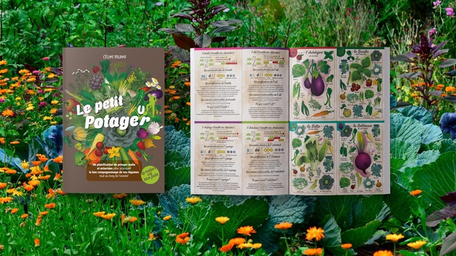 Le petit potageur 🌱