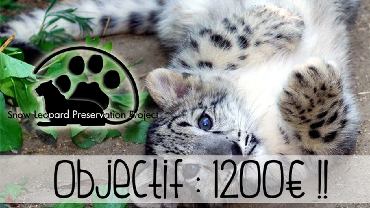 Snow Leopard Preservation Project