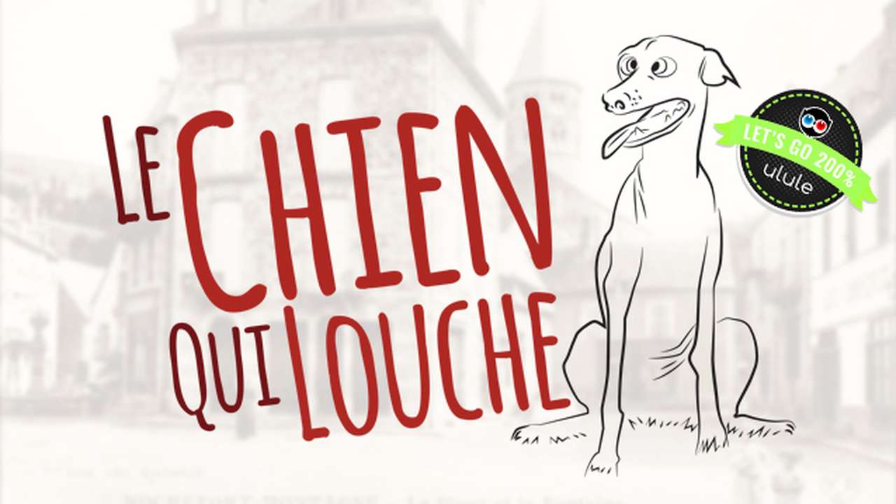 Le Chien qui louche, Librairie-café