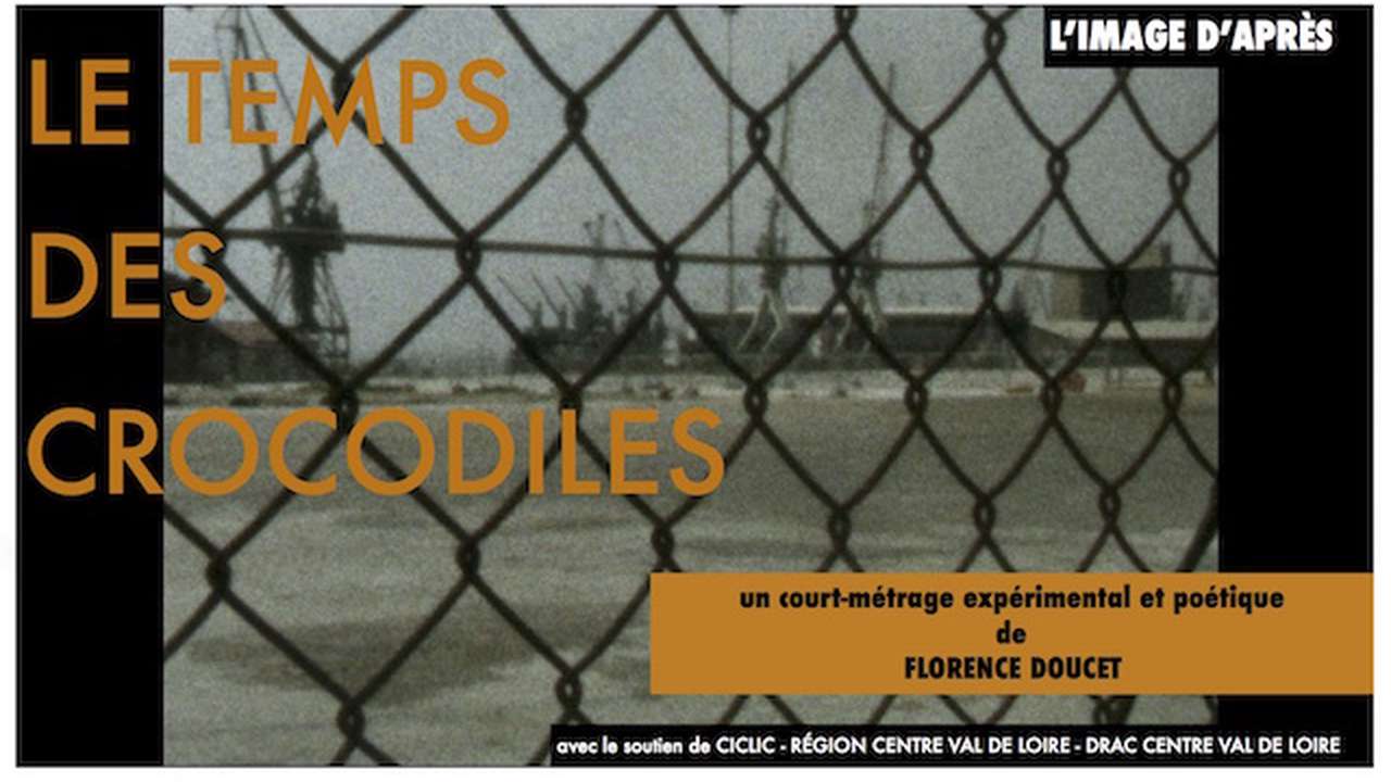 Le Temps des crocodiles - Ulule