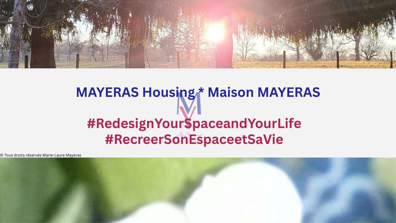 MAYERAS Book & Coach Deco