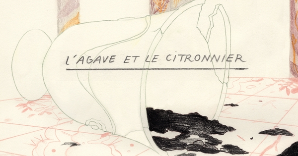 L'Agave et le Citronnier