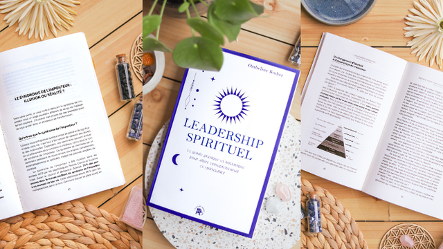 Le guide pratique de l'entrepreneuriat initiatique