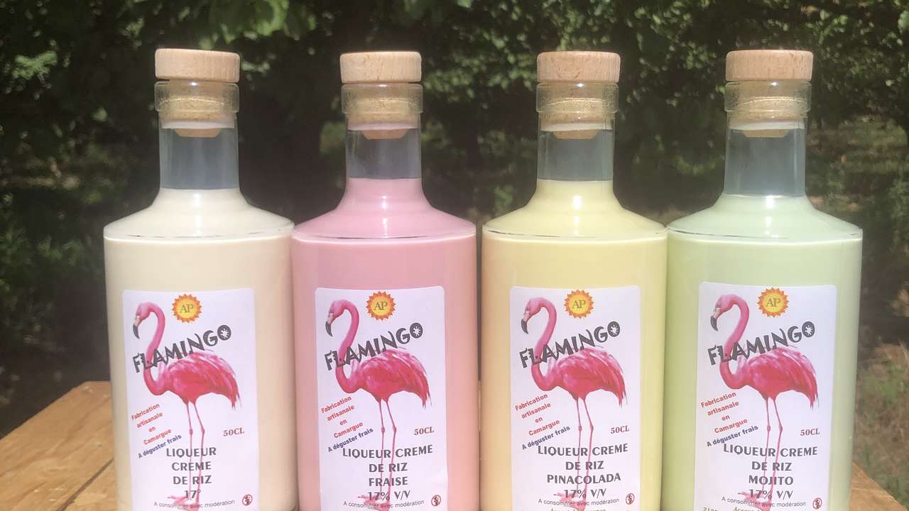 FLAMINGO, LE BAILEYS CAMARGUAIS