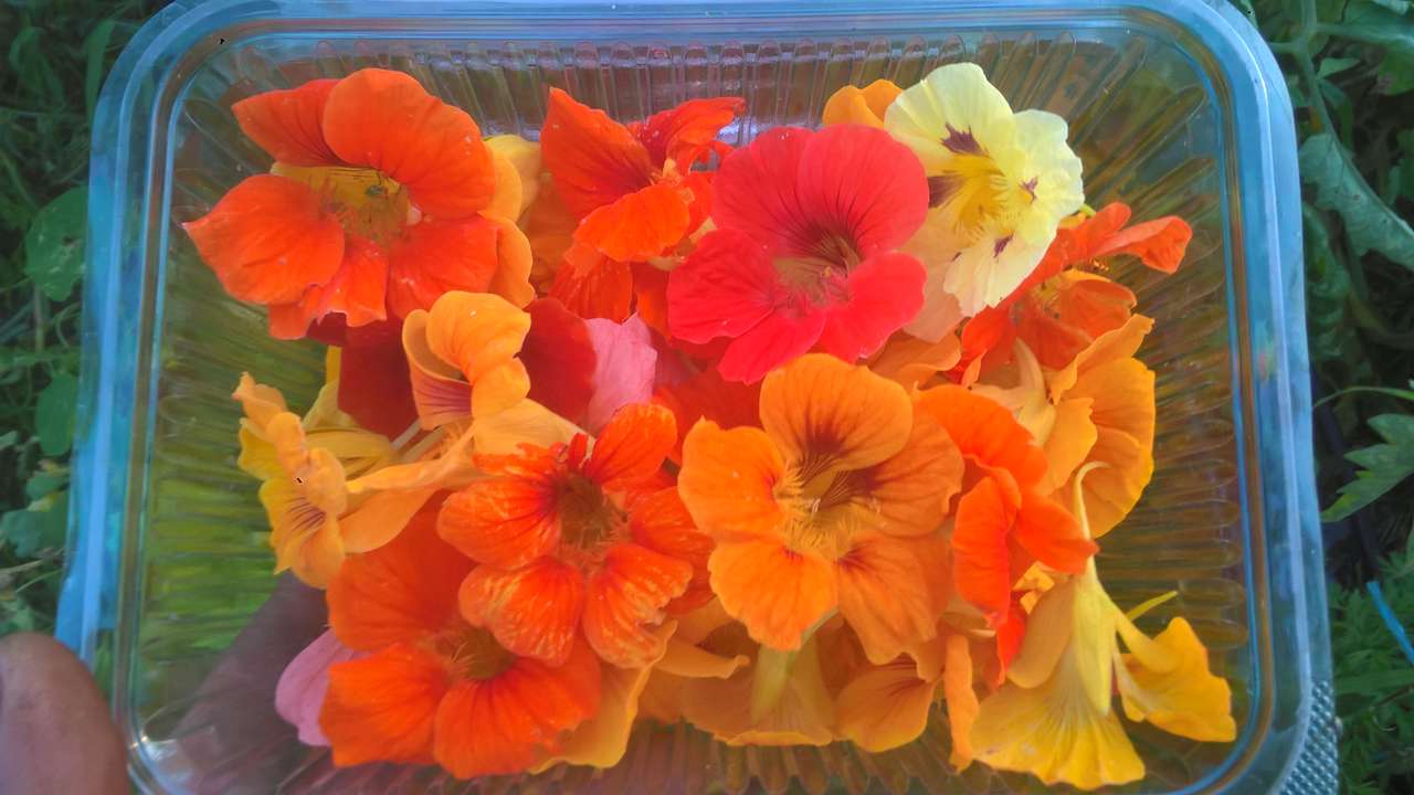 Besoin de financement pour developper mon activité - Ulule