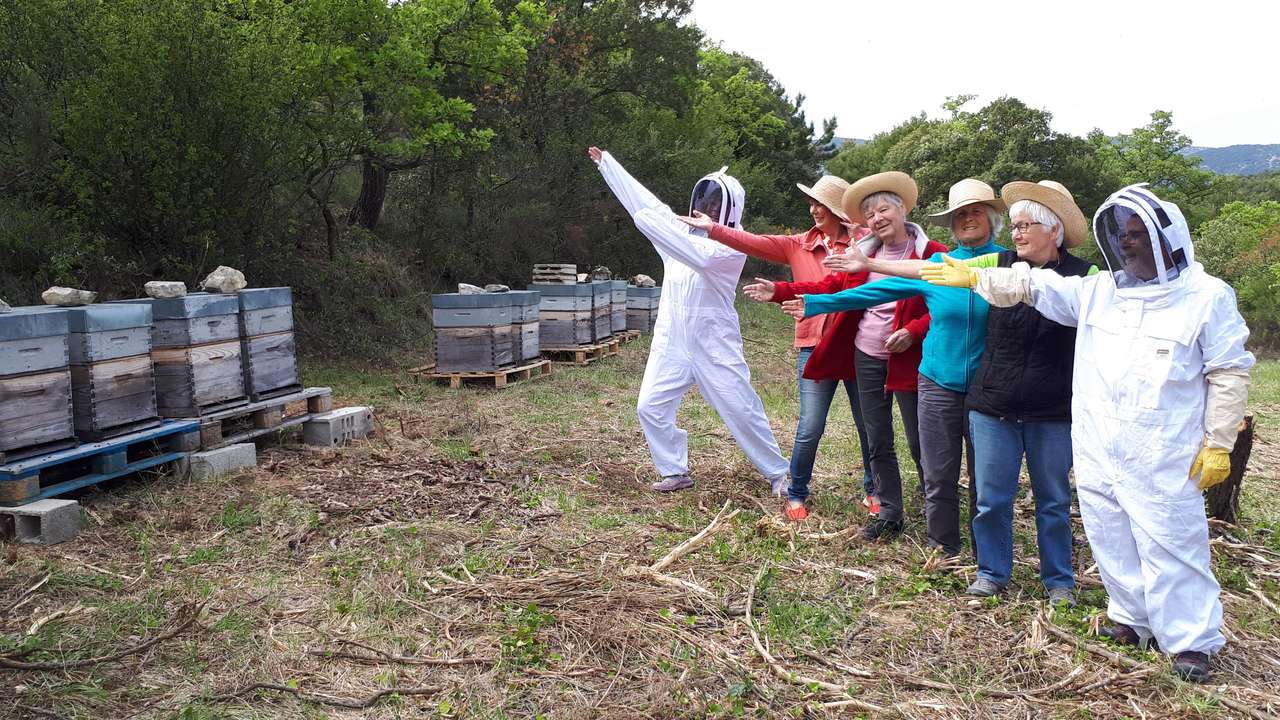 Sauver l'abeille noire de Provence.