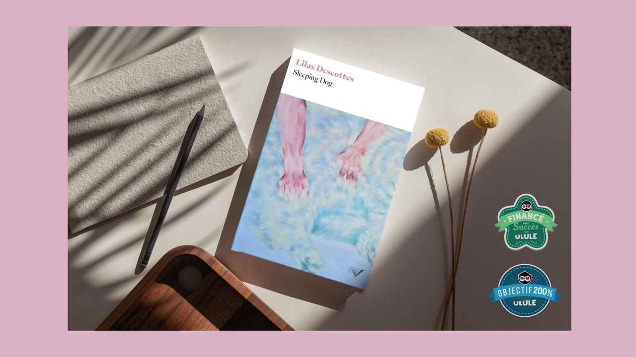 "Sleeping Dog", un recueil sur la mémoire. - Ulule