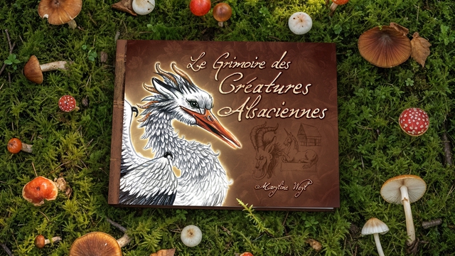 Livre "Le grimoire des créatures alsaciennes" - Ulule