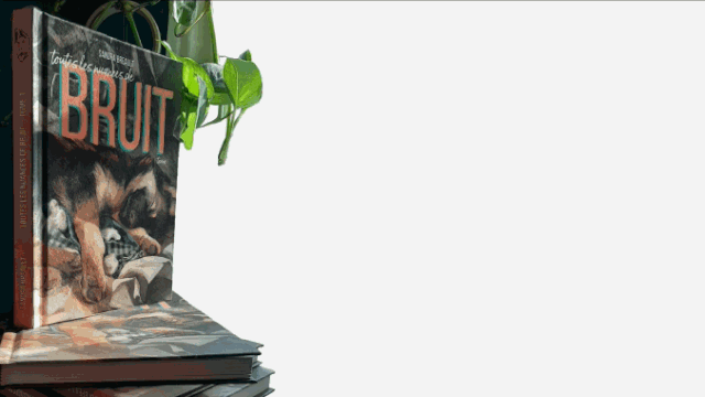 Toutes les nuances de bruit - Tome 1 - Ulule