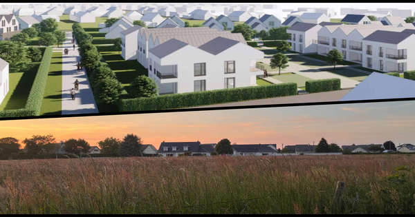 Protégeons la prairie d'Octeville sur Mer