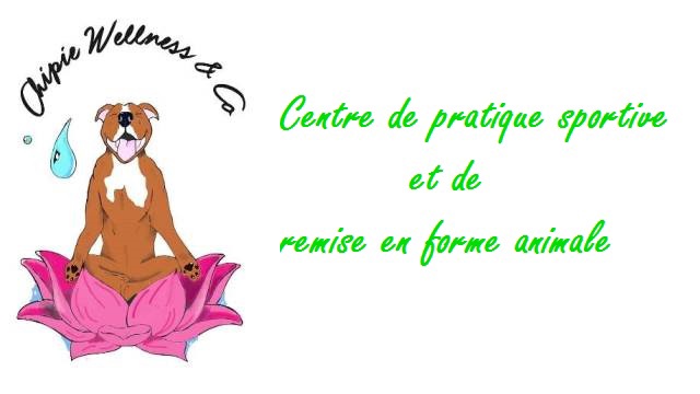 Chipie Wellness & Co - Ulule