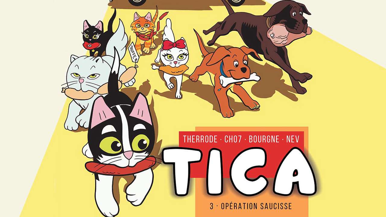 TICA 3 : Opération saucisse