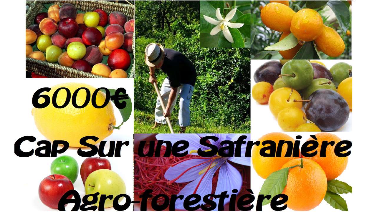 Une ferme Malgache haute en couleurs