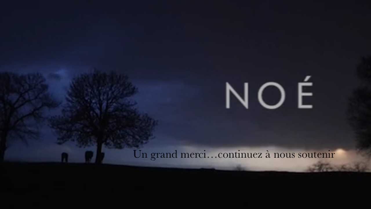 Noé