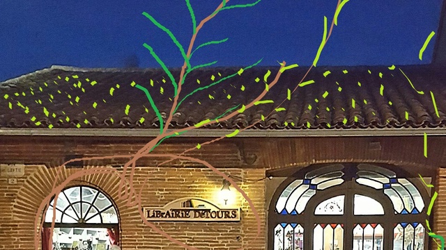 Barbara SCHMITT - Ulule