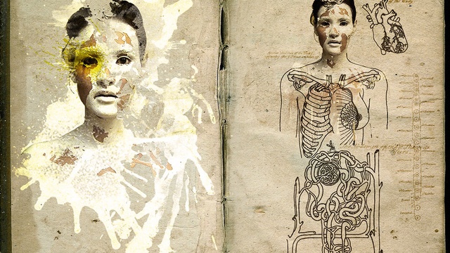 The book's body