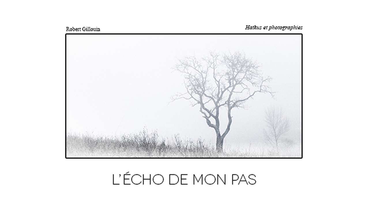 "L'Echo de mon Pas"