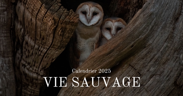 Calendrier 2025 - Vie Sauvage - Ulule