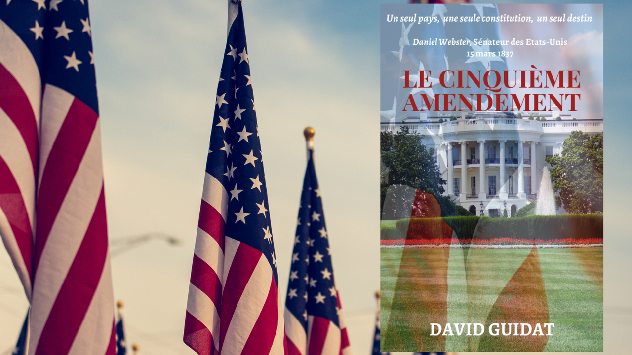 LE CINQUIEME AMENDEMENT (Thriller)