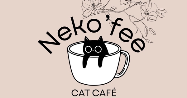 Aidez-moi à ouvrir mon bar à chats sur Strasbourg ! 🐾☕️