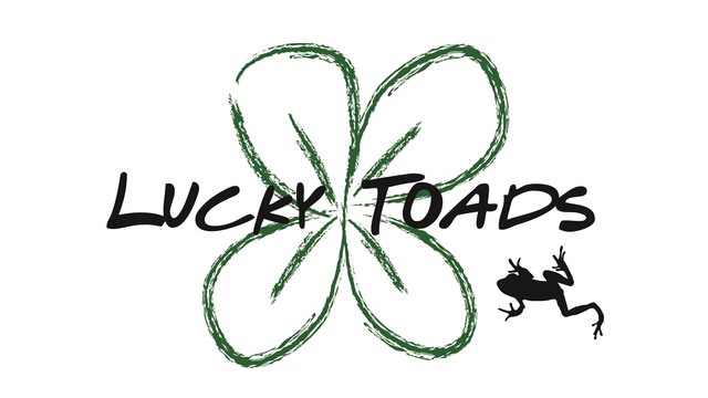 Patrick Villevieille - Ulule