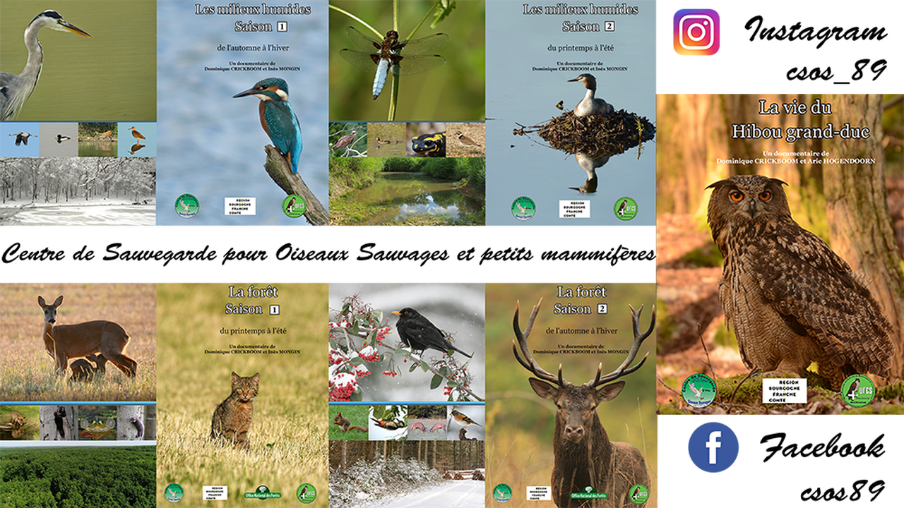 Réalisation de documentaires animaliers