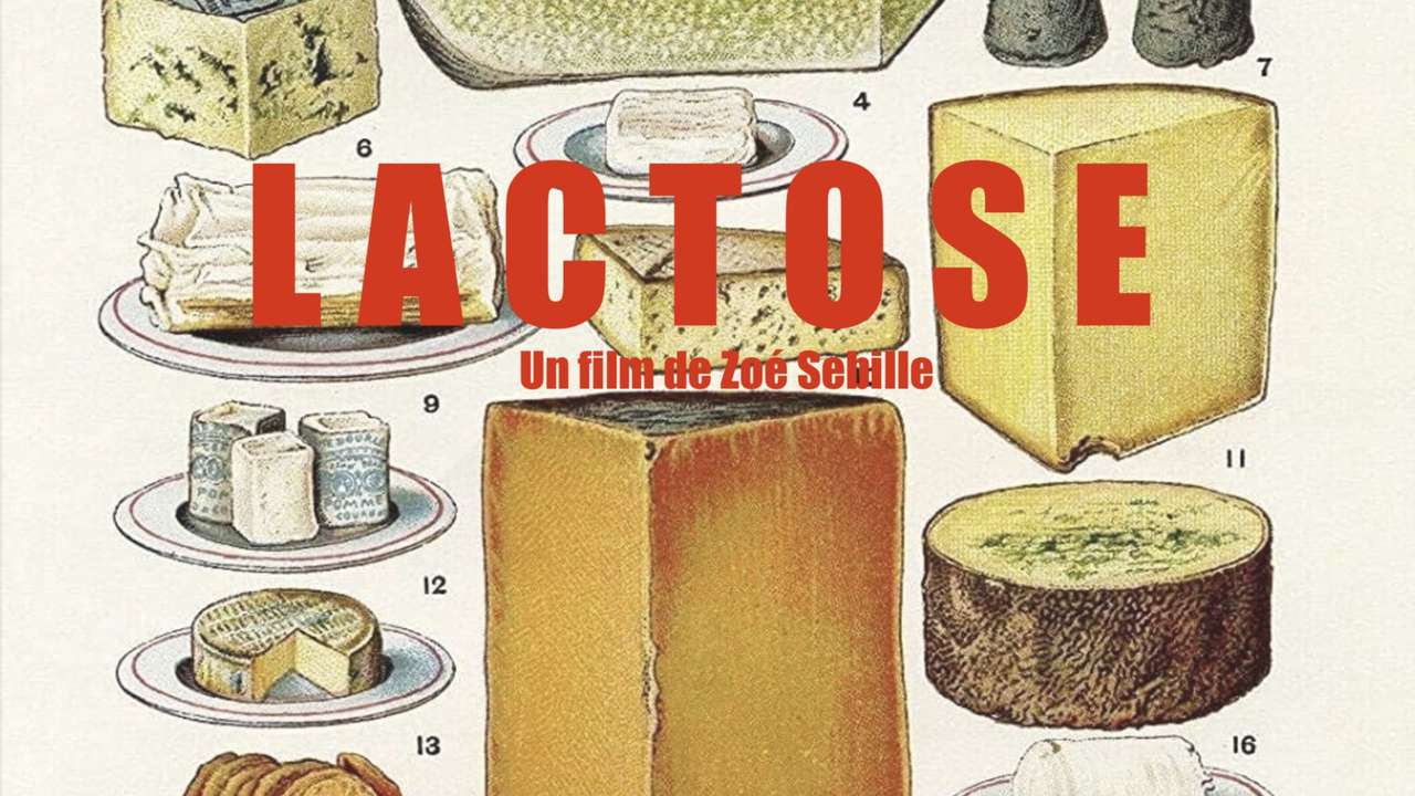 Projet de court-métrage - LACTOSE