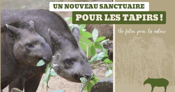 Un nouveau sanctuaire pour les tapirs