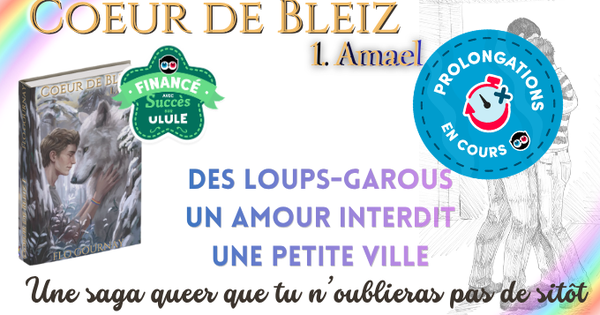 Coeur de Bleiz, Amael - Ulule