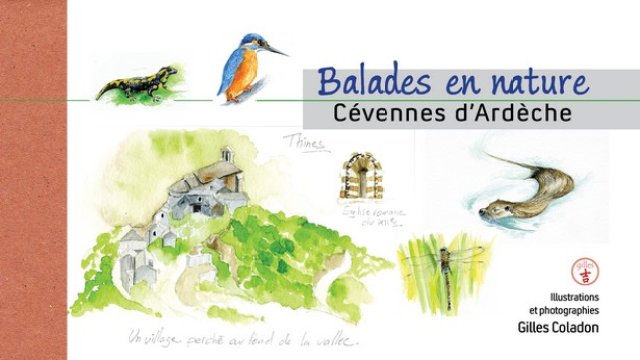 Lola Savitri - Ulule