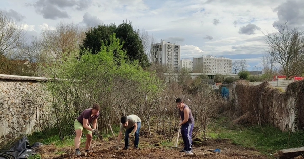 Vive la permaculture à Montreuil avec Les Plantules